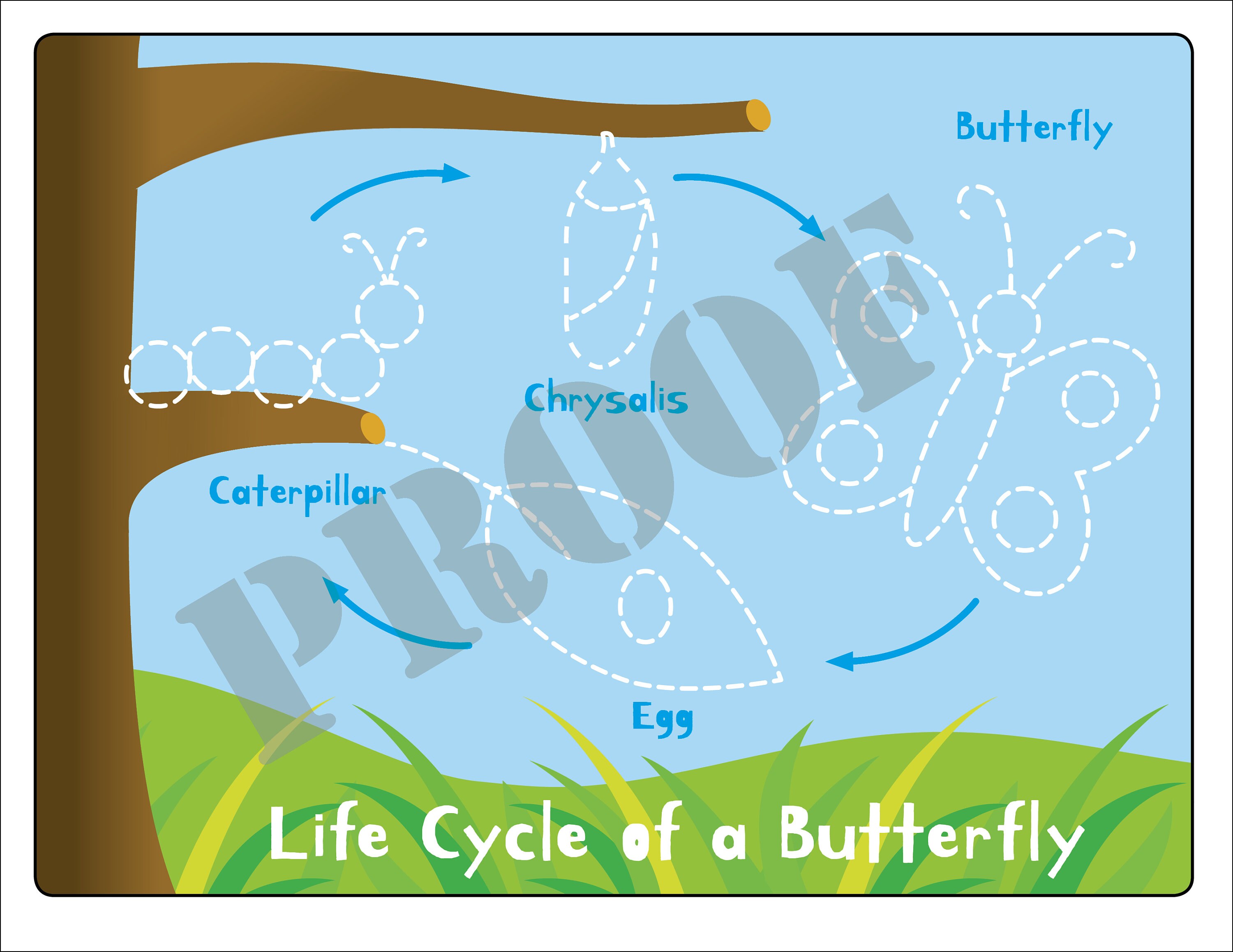 Life Cycle of a Butterfly Play Dough Mat Kids Homeschool - Etsy UK