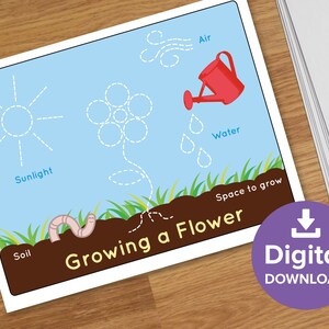 Growing a Flower Play Dough Mat Kids Homeschool Gardening | Etsy