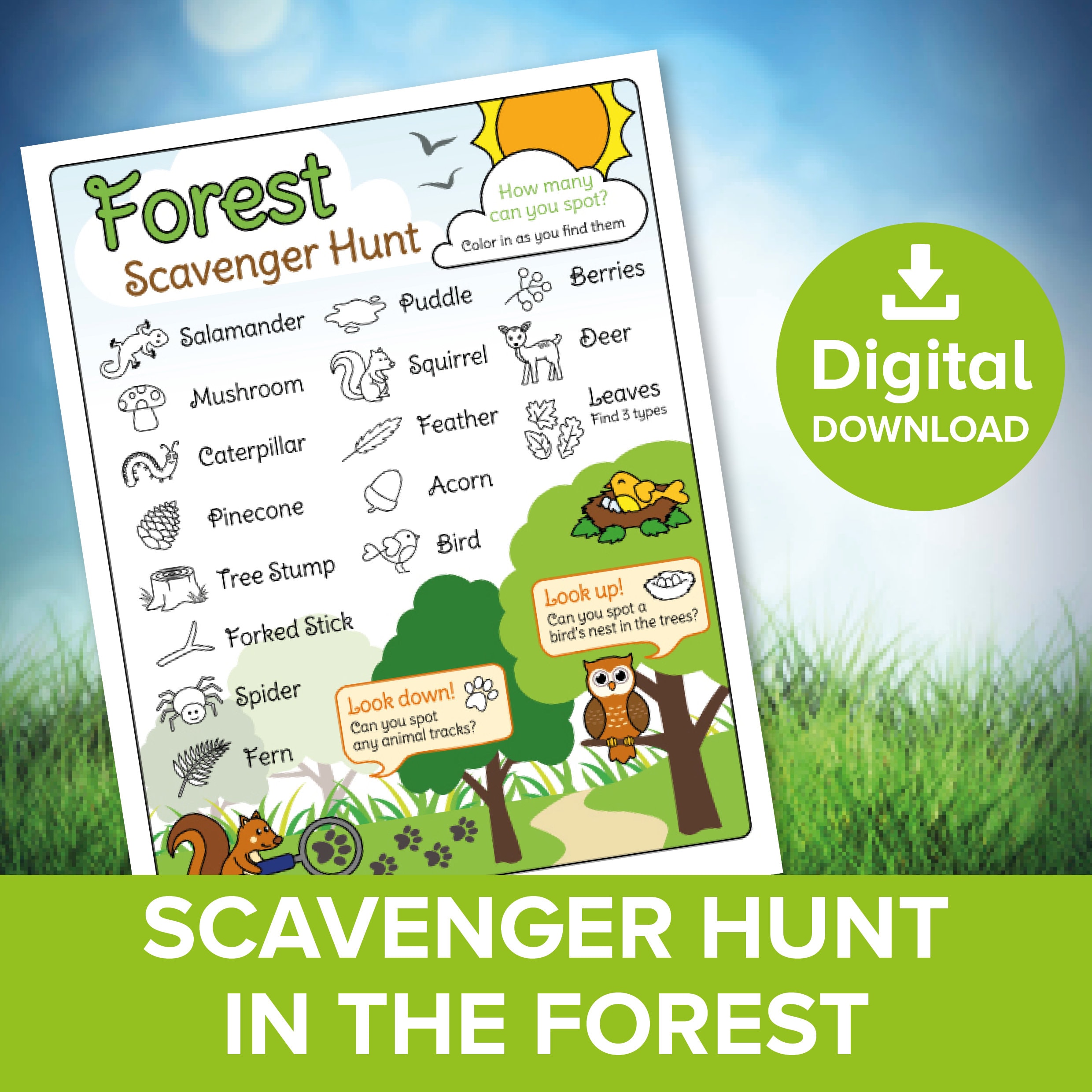 Forest Scavenger Hunt, Kids Woodland Treasure Hunt Trail, Childrens ...