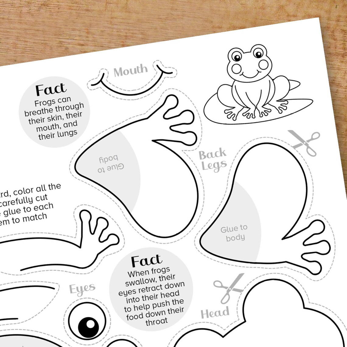 Frog Cut & Paste Craft Printable, Spring Animals Color and Build Art ...