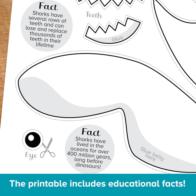 Shark Cut & Paste Craft Printable, Marine Life Great White Fish Color ...