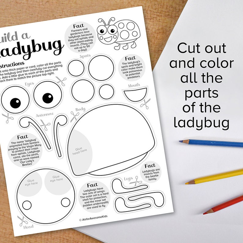 Ladybug Cut & Paste Craft Printable, Spring Bug Color and Build Kit ...