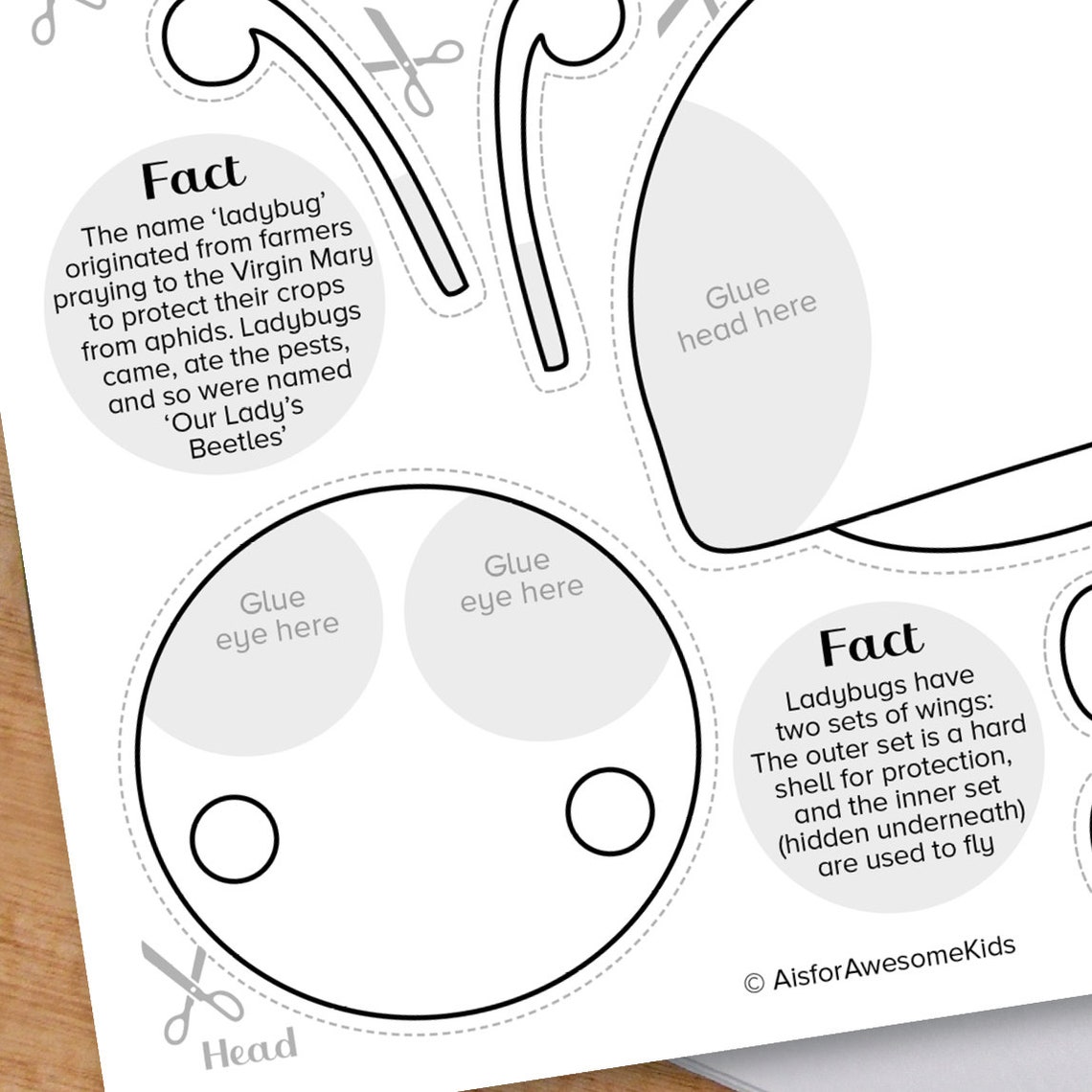 Ladybug Cut & Paste Craft Printable, Spring Bug Color and Build Kit ...