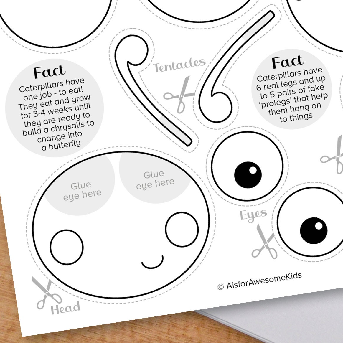 Caterpillar Cut & Paste Craft Printable, Spring Bug Color and Build Kit ...