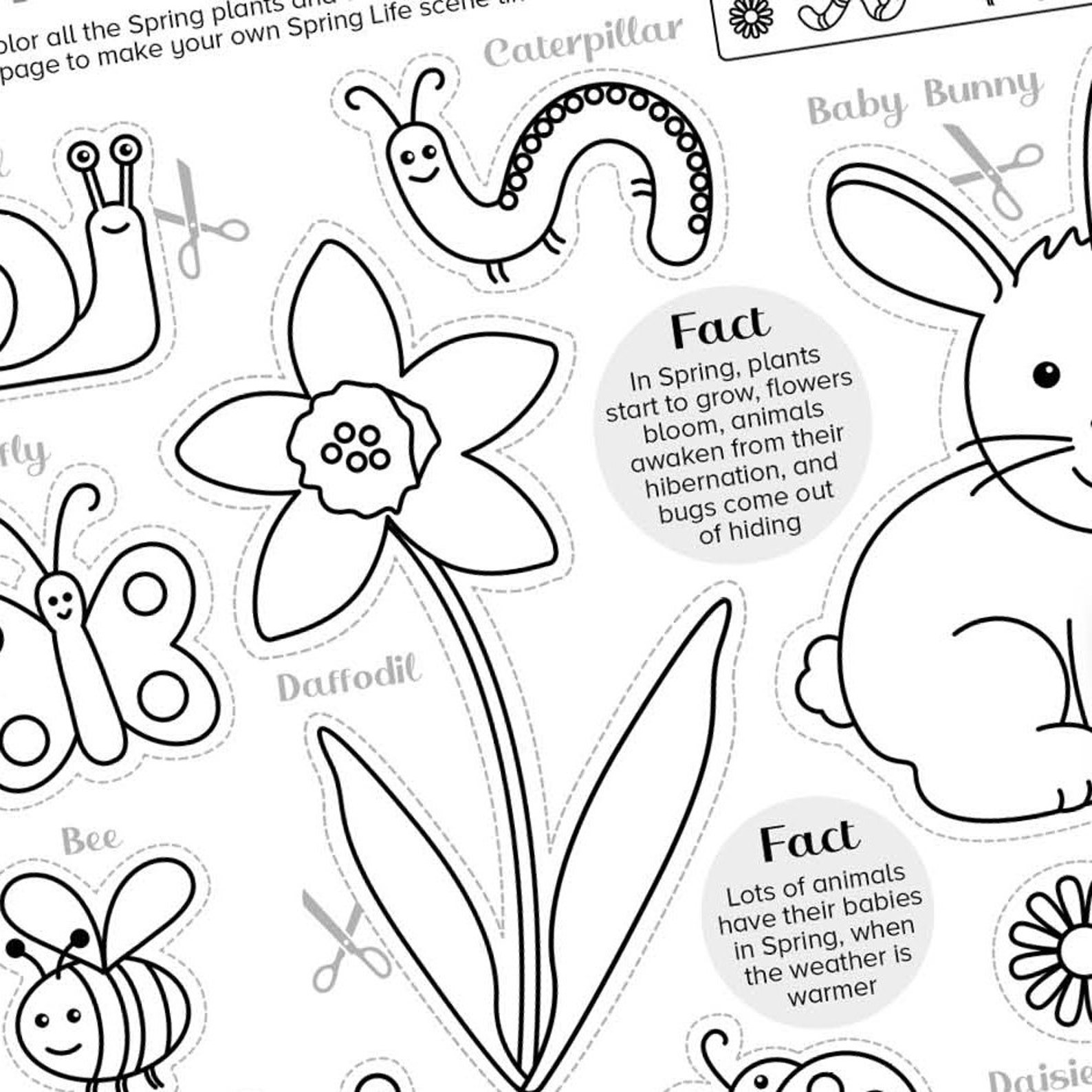 Wildlife Scene Cut & Paste Craft Printable, Spring Garden Coloring ...
