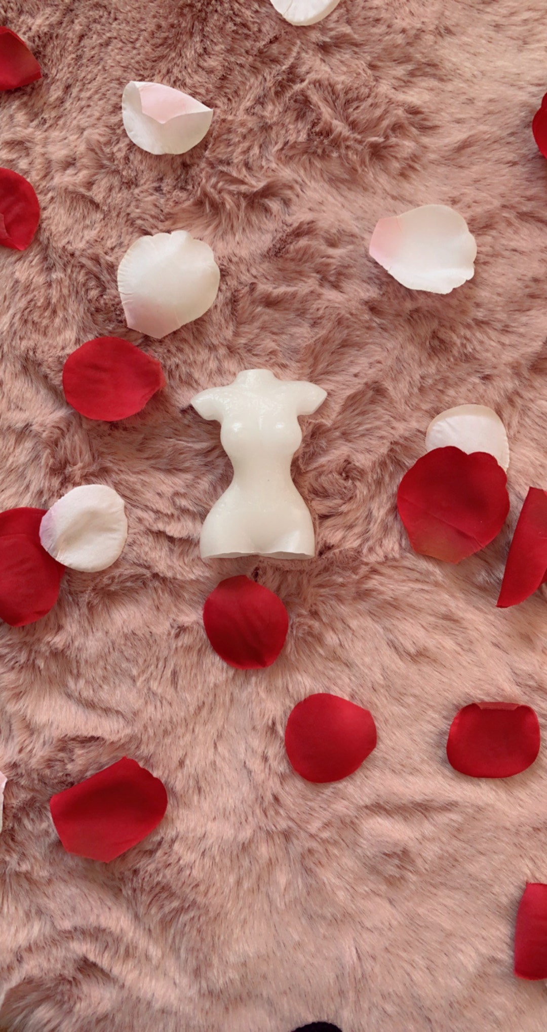 Female Body Soap Female Torso Soap Woman Figure Soap Female - Etsy