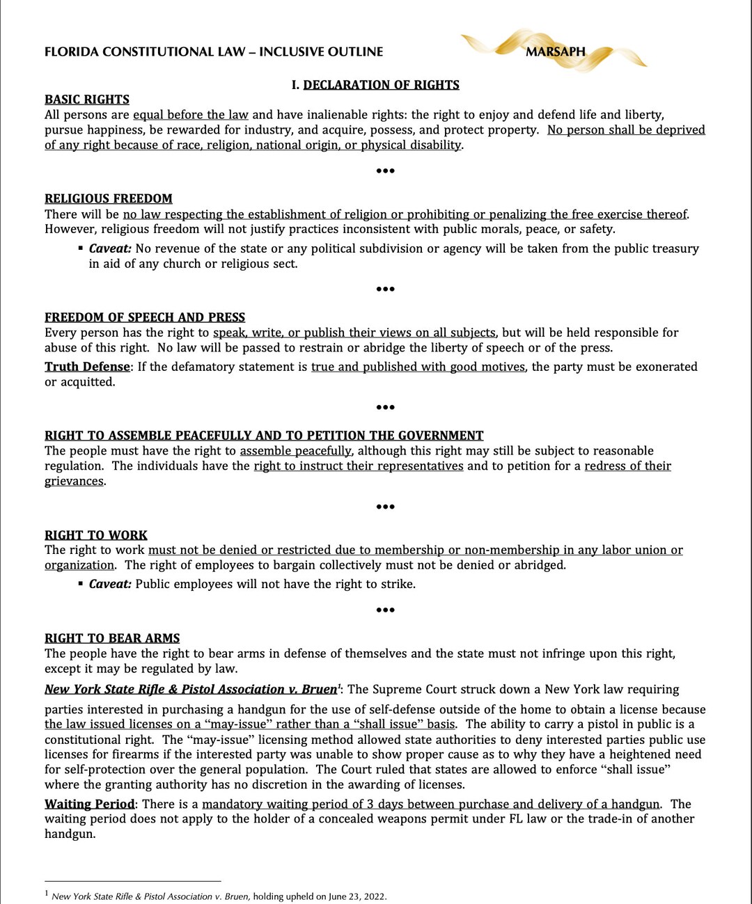 Florida Constitutional Law Outline - Etsy