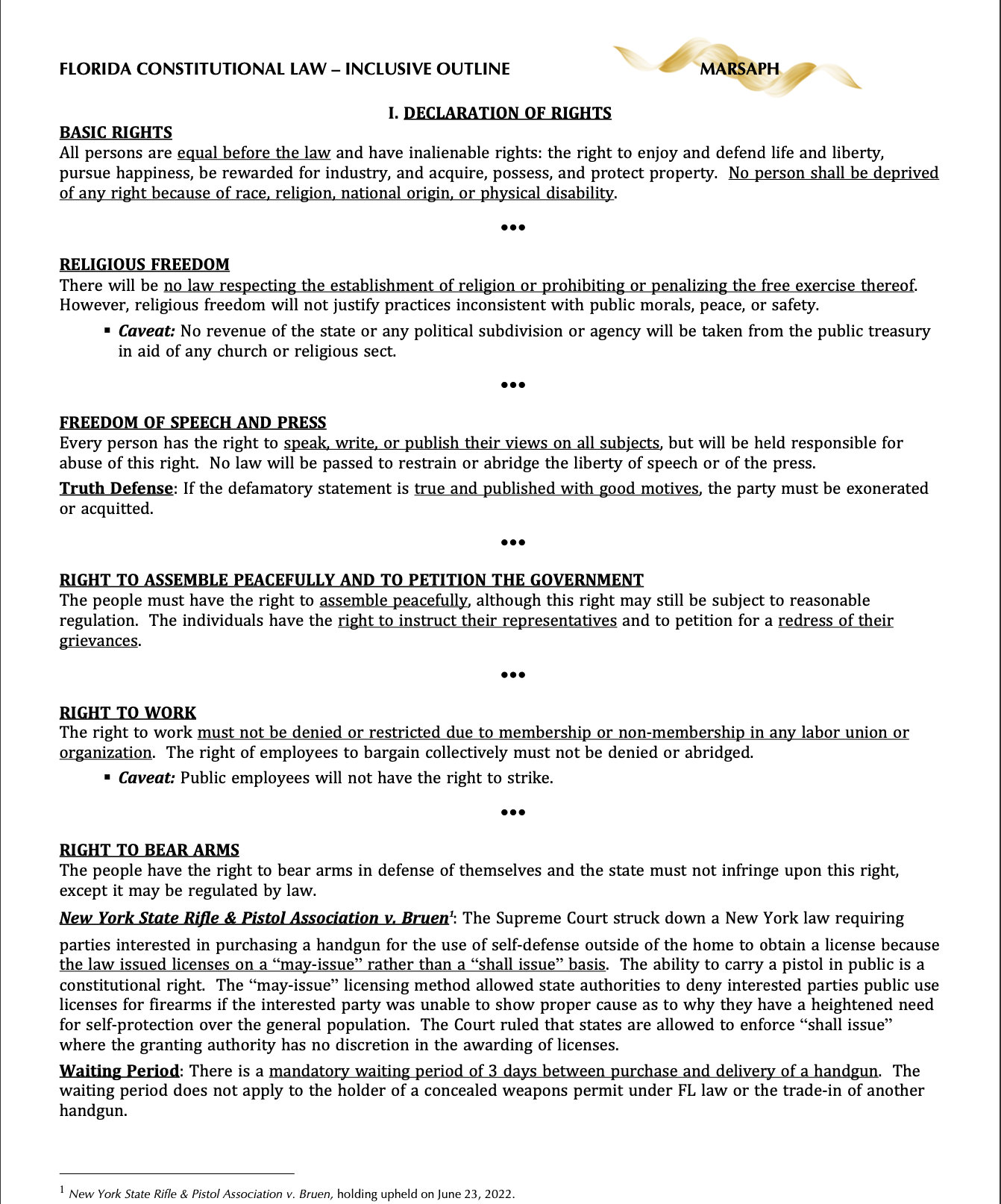 Florida Constitutional Law Outline - Etsy