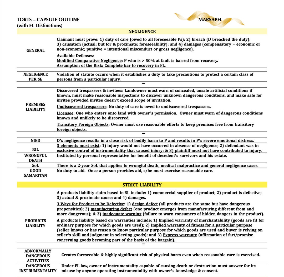 Torts Outline - Etsy