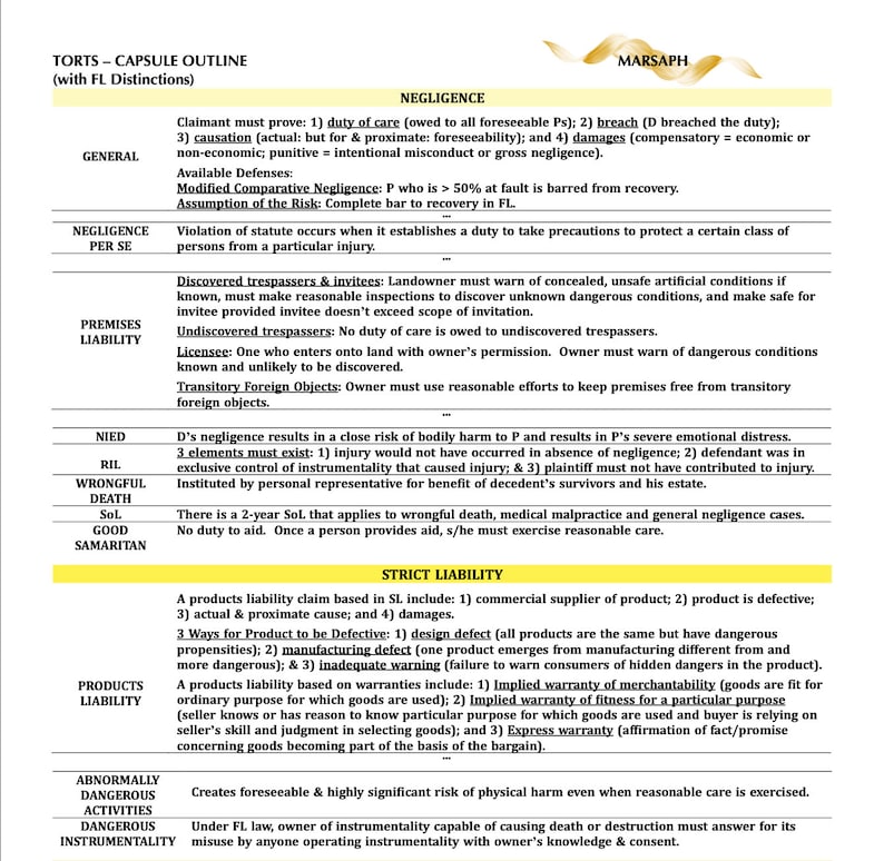 Torts Outline - Etsy