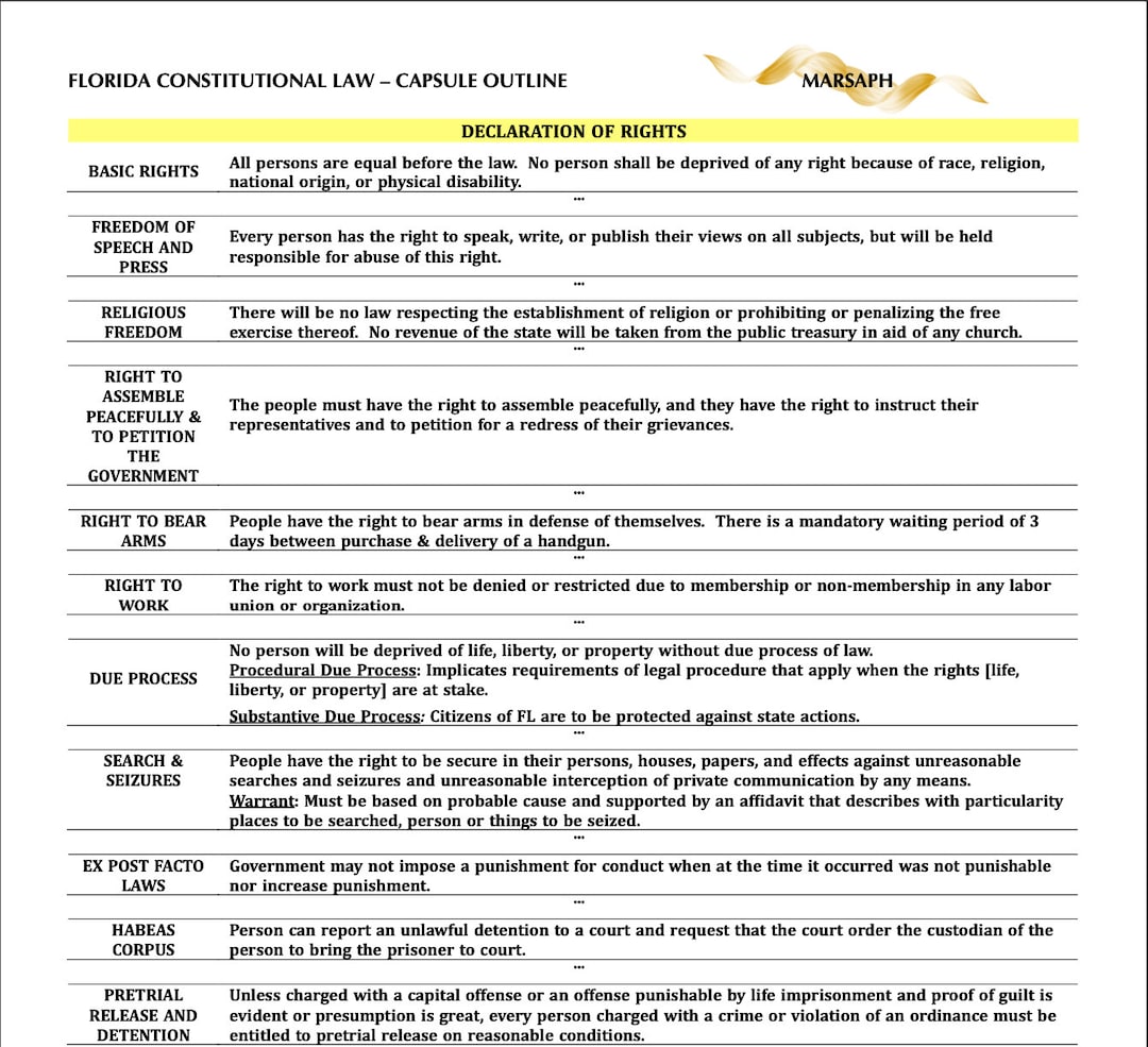 Florida Constitutional Law Outline - Etsy