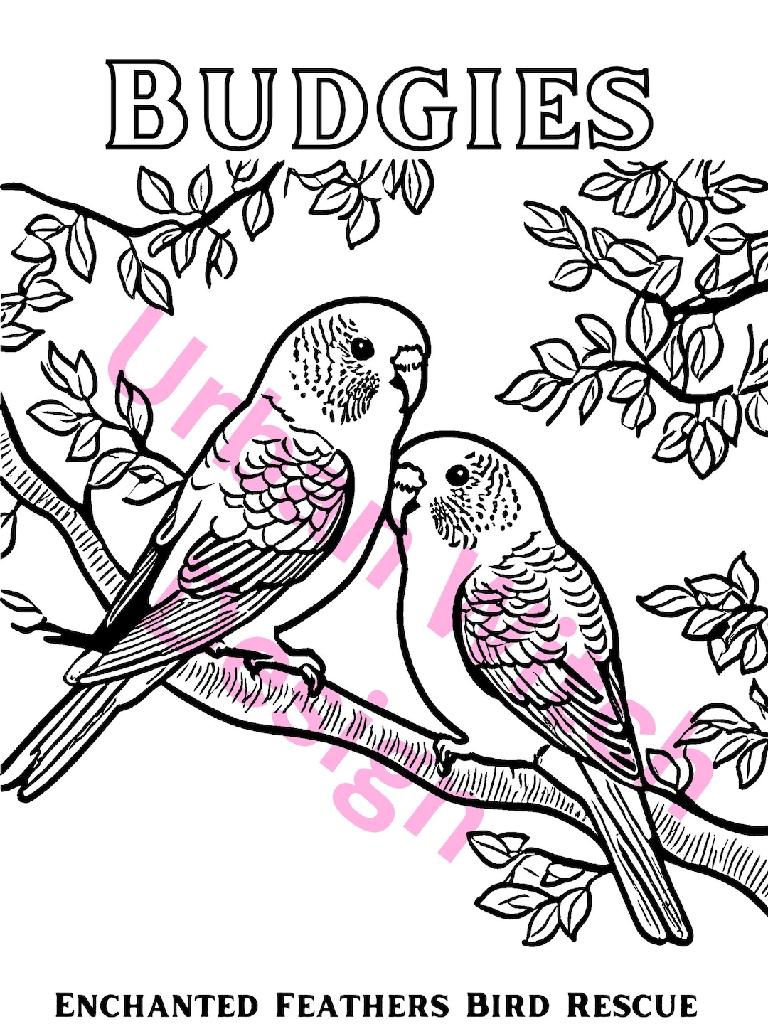 Budgie Colouring Page - Etsy
