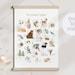 Woodland Alphabet Poster, Woodland Alphabet Print, Woodland Nursery ...