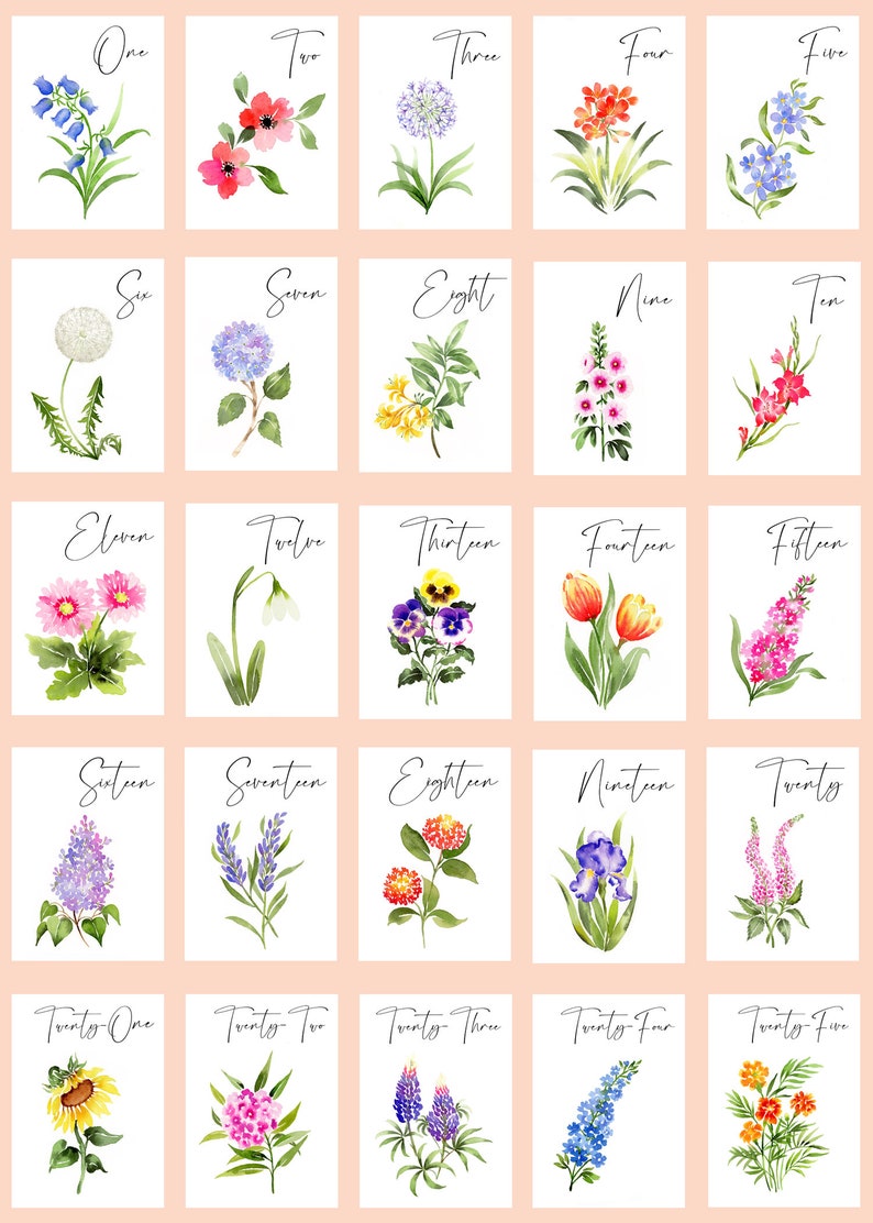 Floral Table Numbers Flower Table Numbers Wildflower Table | Etsy
