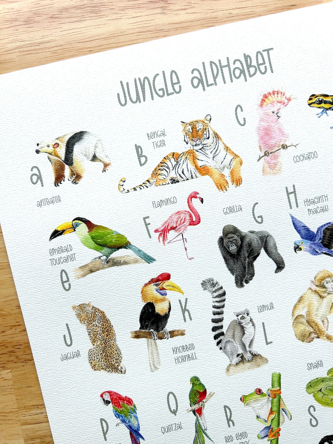 Jungle Nursery Decor, Jungle Alphabet, Watercolor Jungle Art ...