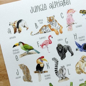 Jungle Alphabet Print, Jungle Nursery Decor, Rainforest Nursery Decor ...