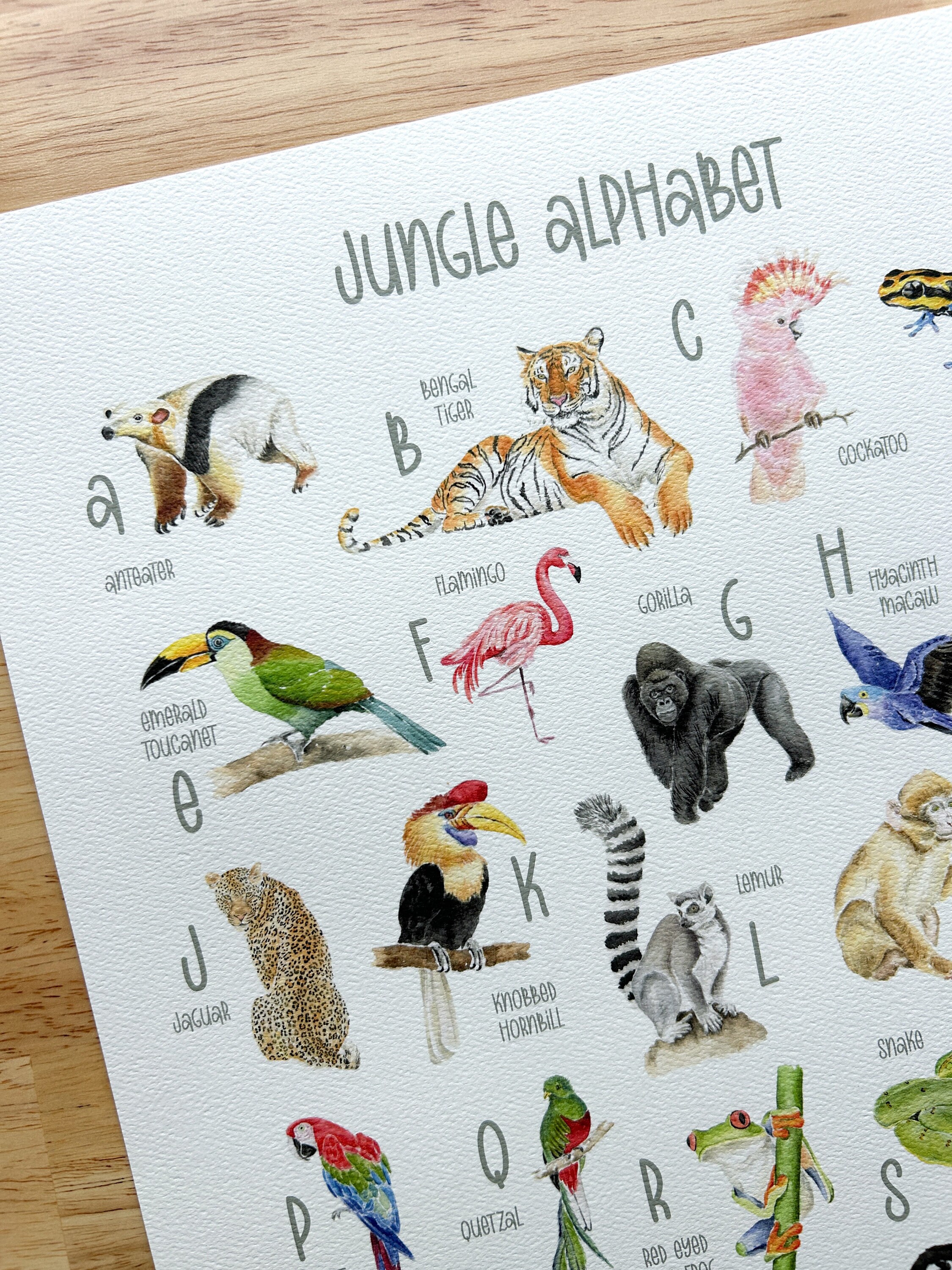 Jungle Alphabet Print, Jungle Nursery Decor, Rainforest Nursery Decor ...