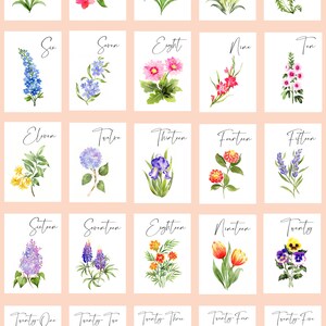 Floral Table Numbers, Flower Table Numbers, Wildflower Table Numbers ...