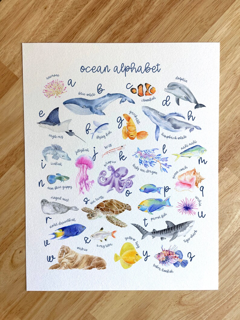 Ocean Alphabet, Under the Sea Nursery, Ocean Nursery Decor, Under the ...