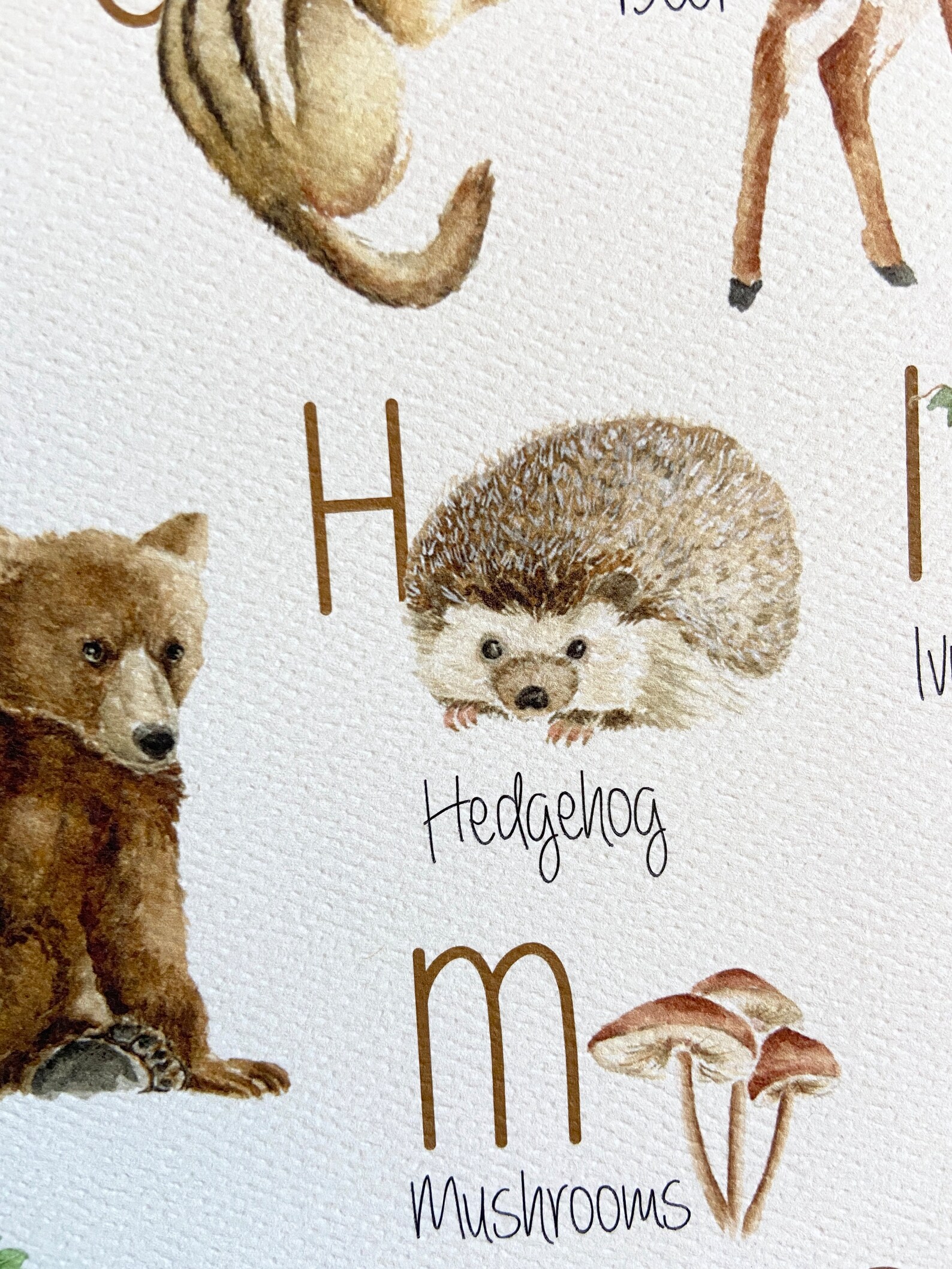 Woodland Alphabet Poster Woodland Alphabet Print Woodland - Etsy