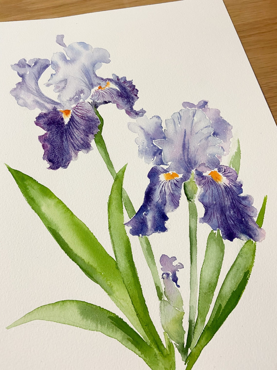 February Birth Flower Print Watercolor Iris Painting Iris - Etsy