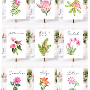 Tropical Table Numbers, Tropical Flower Table Cards, Bright Flower ...