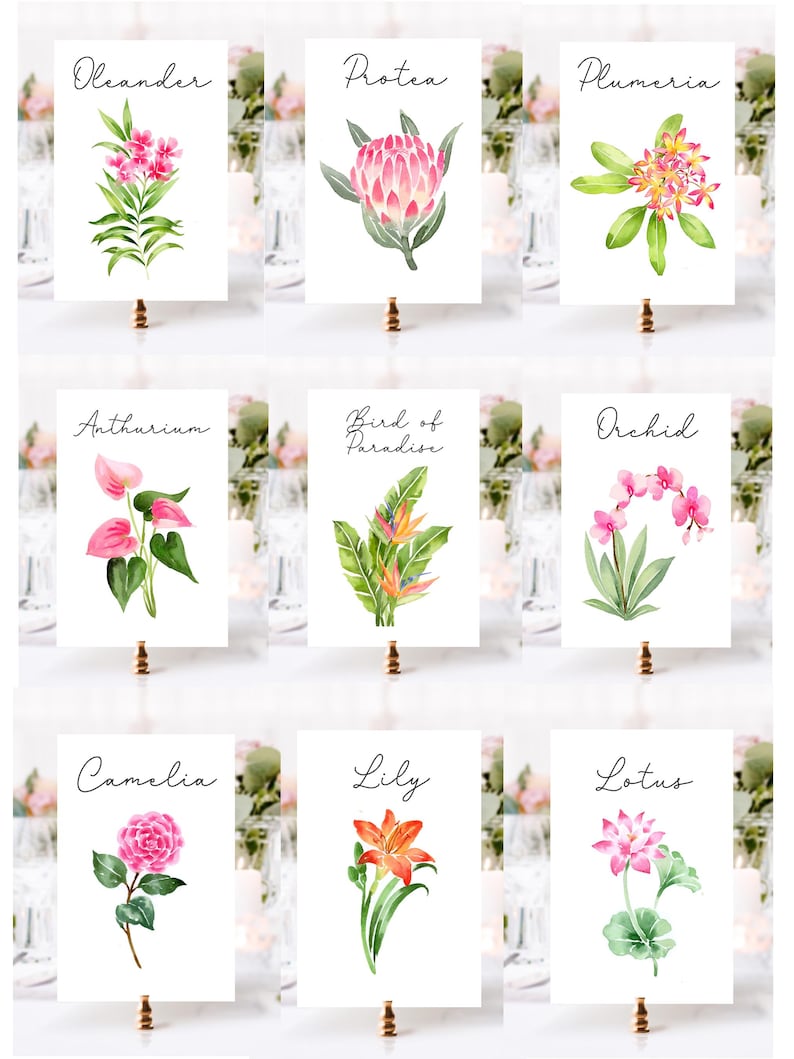 Tropical Table Numbers, Tropical Flower Table Cards, Bright Flower ...
