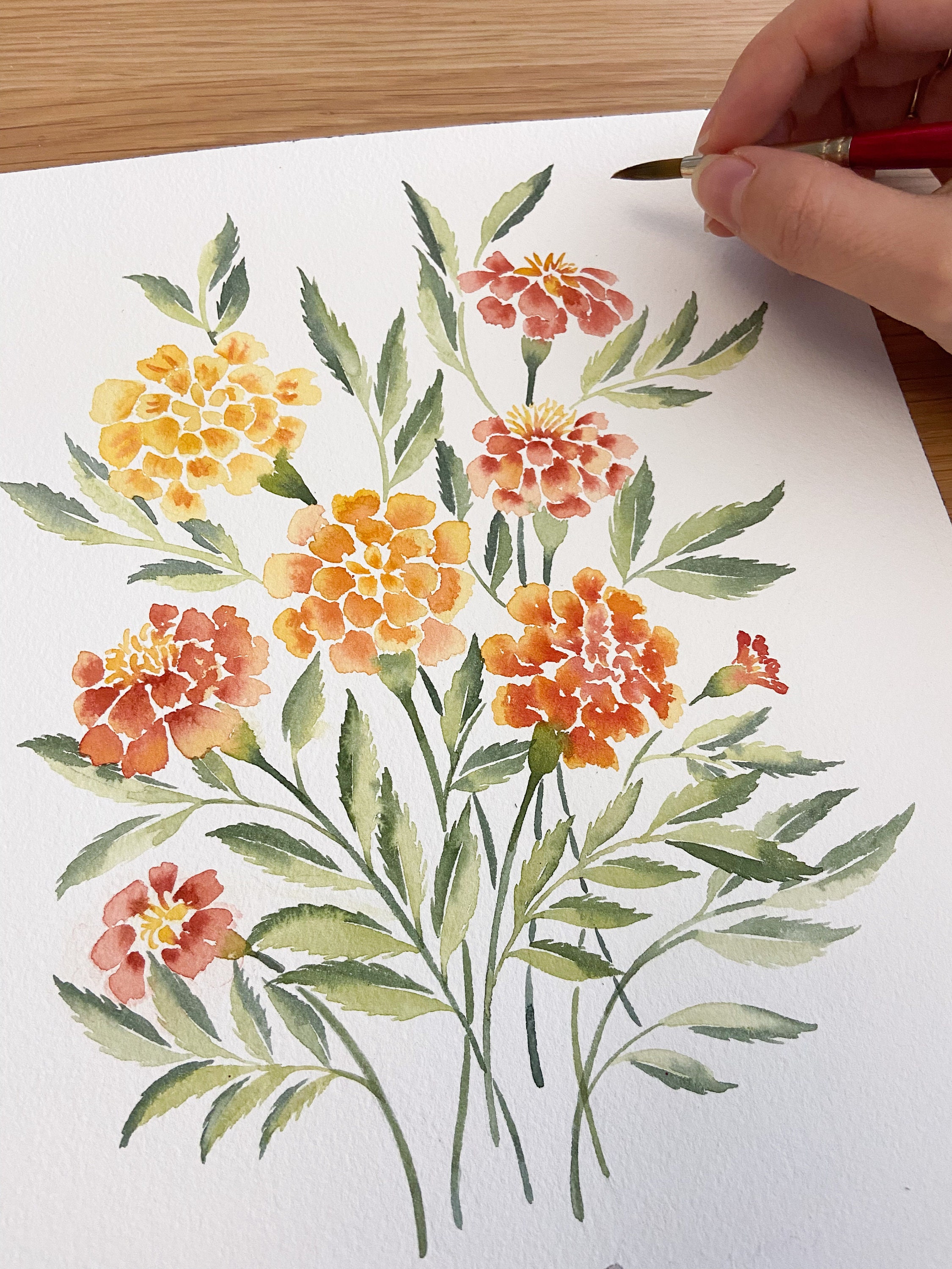 Marigold Watercolor Print Marigold Painting Orange Floral - Etsy