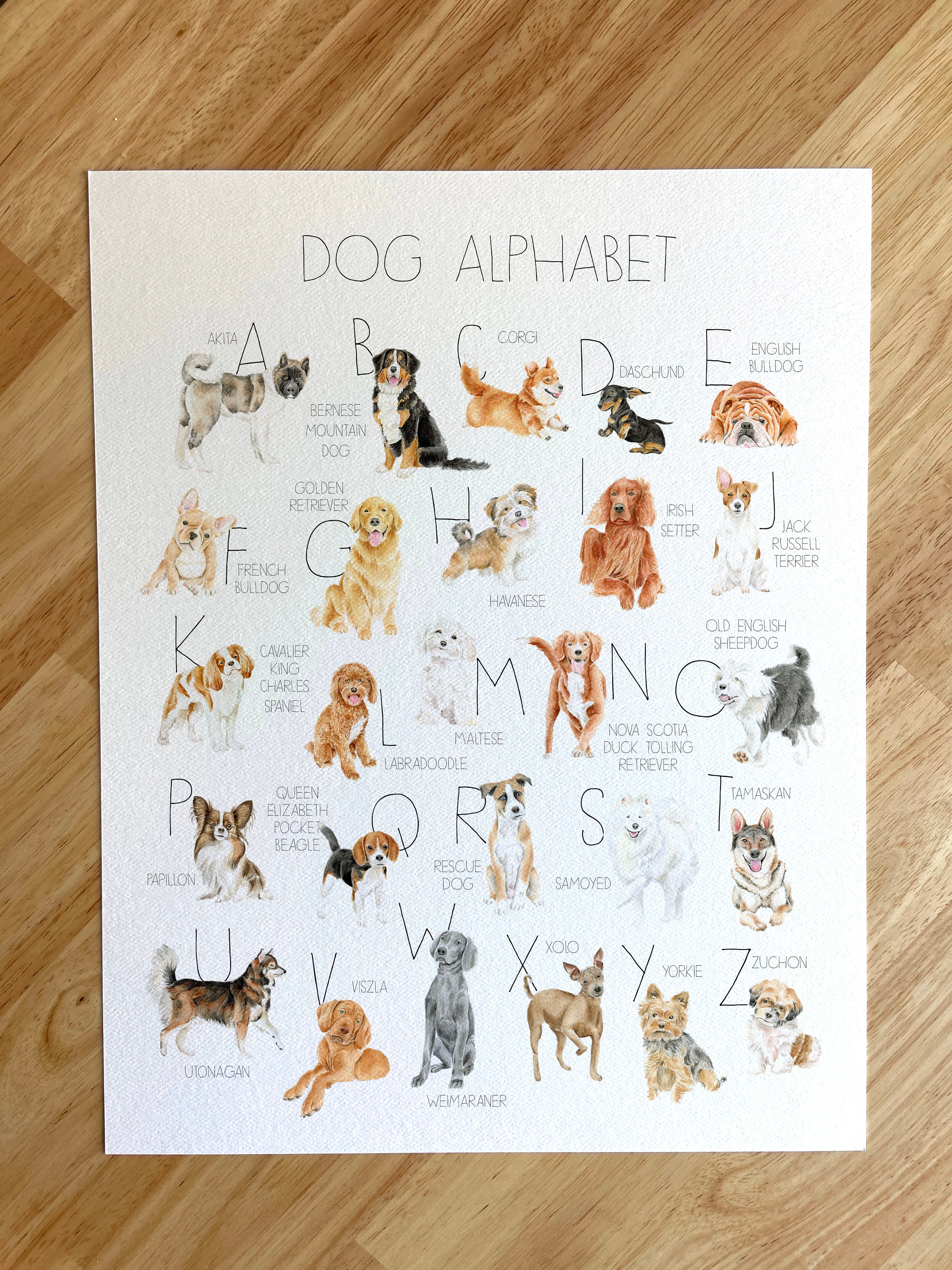 Dog Breeds Alphabet, Dog Nursery Prints, ABC and 123 Wall Art ...