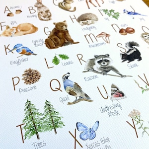 Woodland Alphabet Poster, Woodland Alphabet Print, Woodland Nursery ...