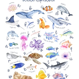 Ocean Alphabet Print, Under the Sea Alphabet, Ocean Animal Alphabet ...