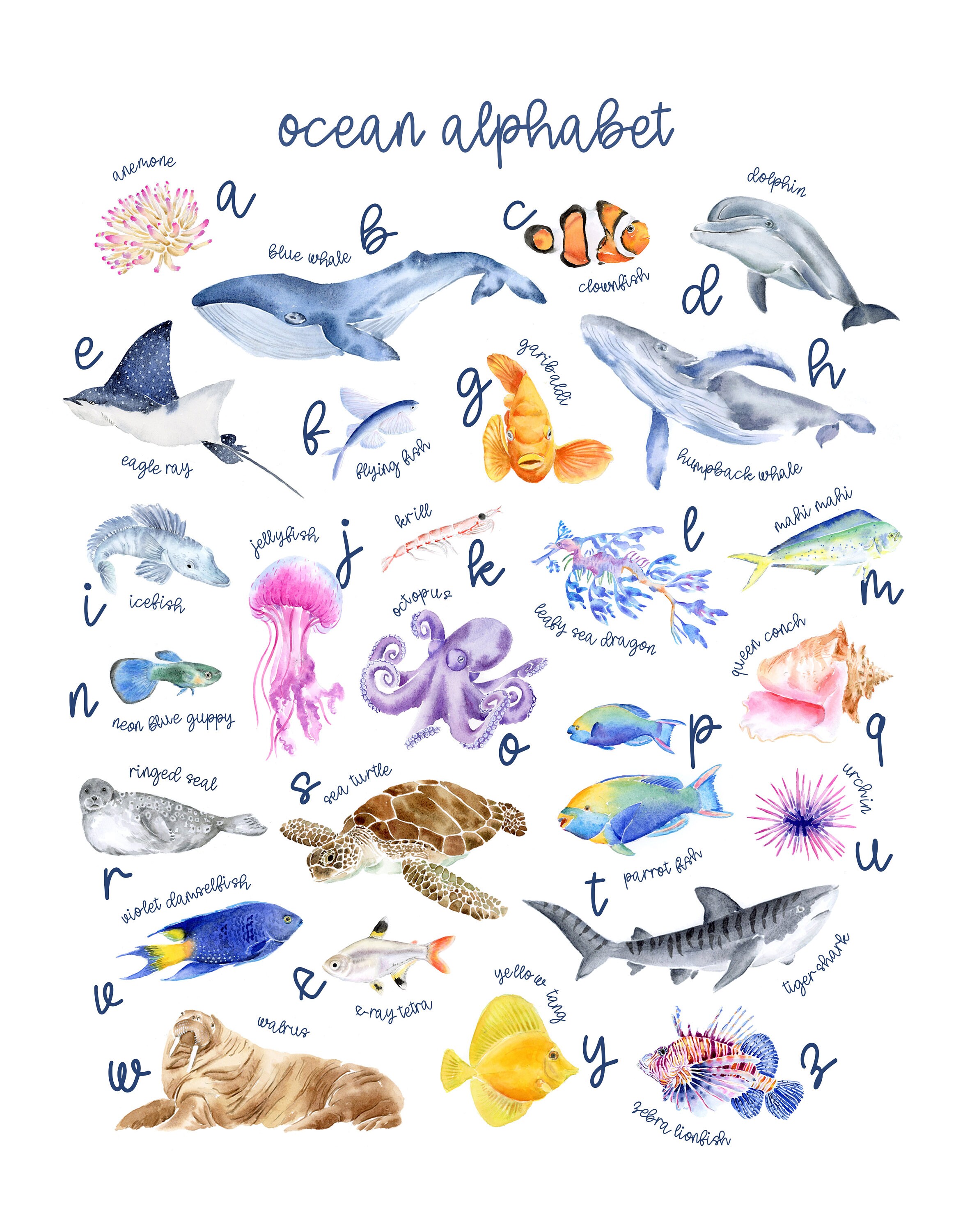Ocean Alphabet Download, Ocean Animal Alphabet, Sea Animals Alphabet ...