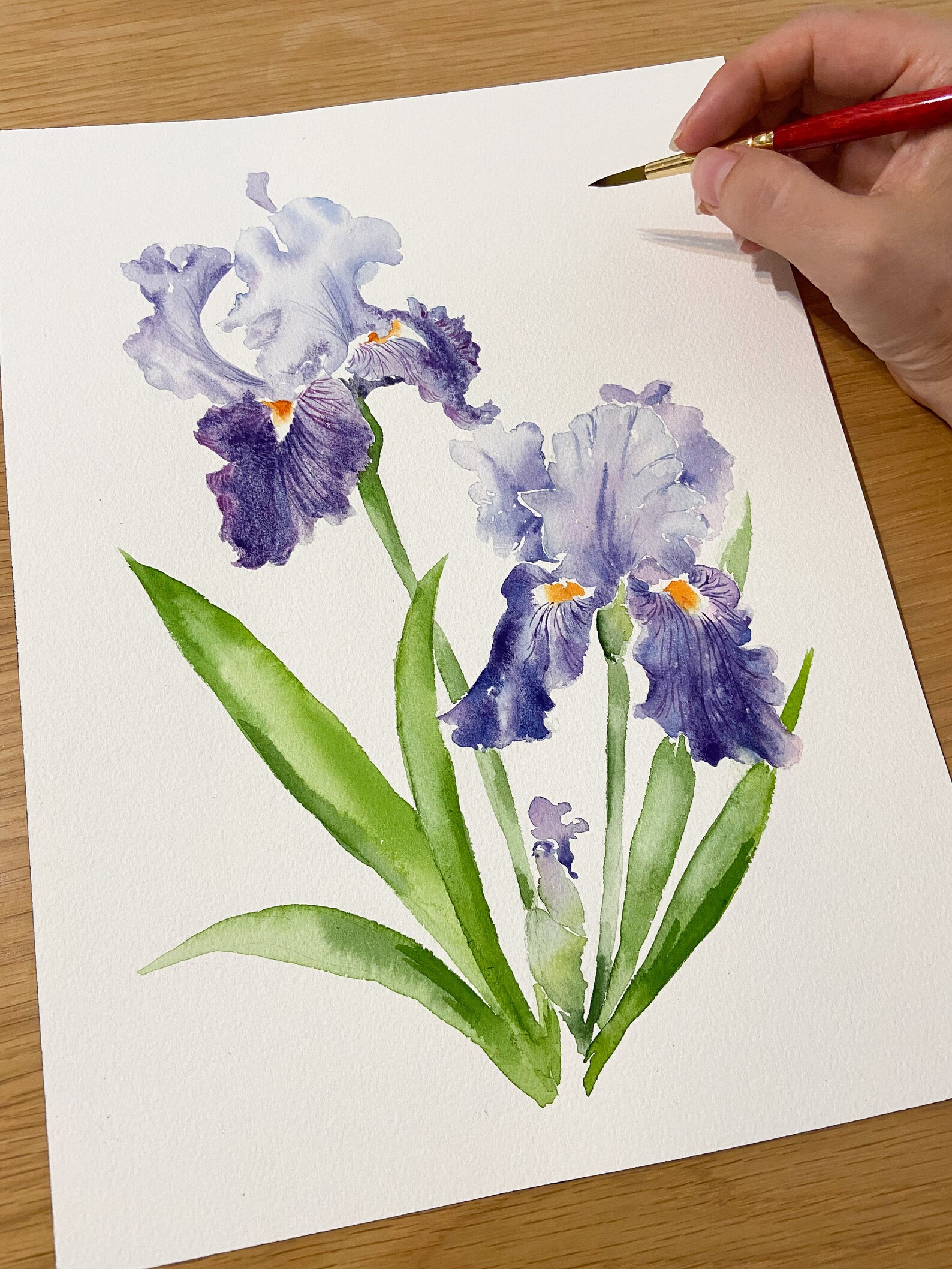 February Birth Flower Print Watercolor Iris Painting Iris - Etsy