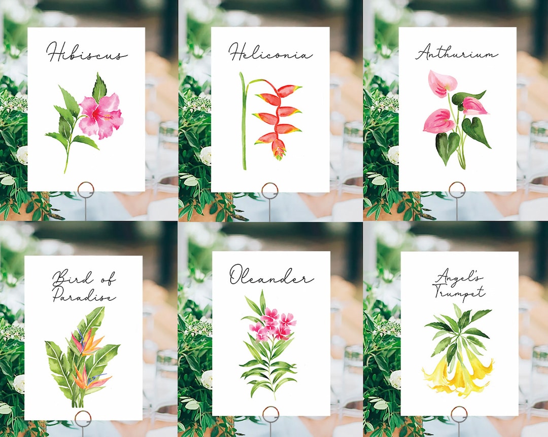 Tropical Table Numbers, Tropical Flower Table Cards, Bright Flower ...