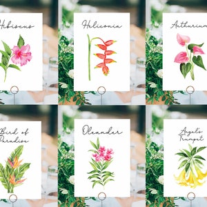 Tropical Table Numbers, Tropical Flower Table Cards, Bright Flower ...