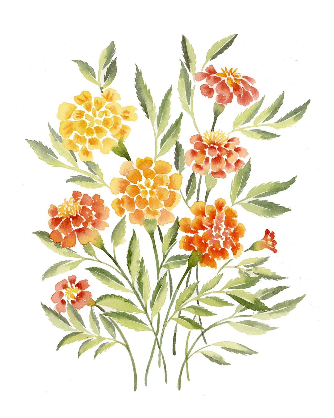 Marigold Watercolor Print Marigold Painting Orange Floral - Etsy
