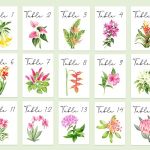 Printable Tropical Table Numbers, Tropical Flower Table Numbers, Beach ...
