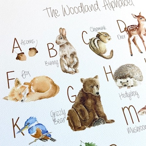 Woodland Alphabet Poster, Woodland Alphabet Print, Woodland Nursery ...