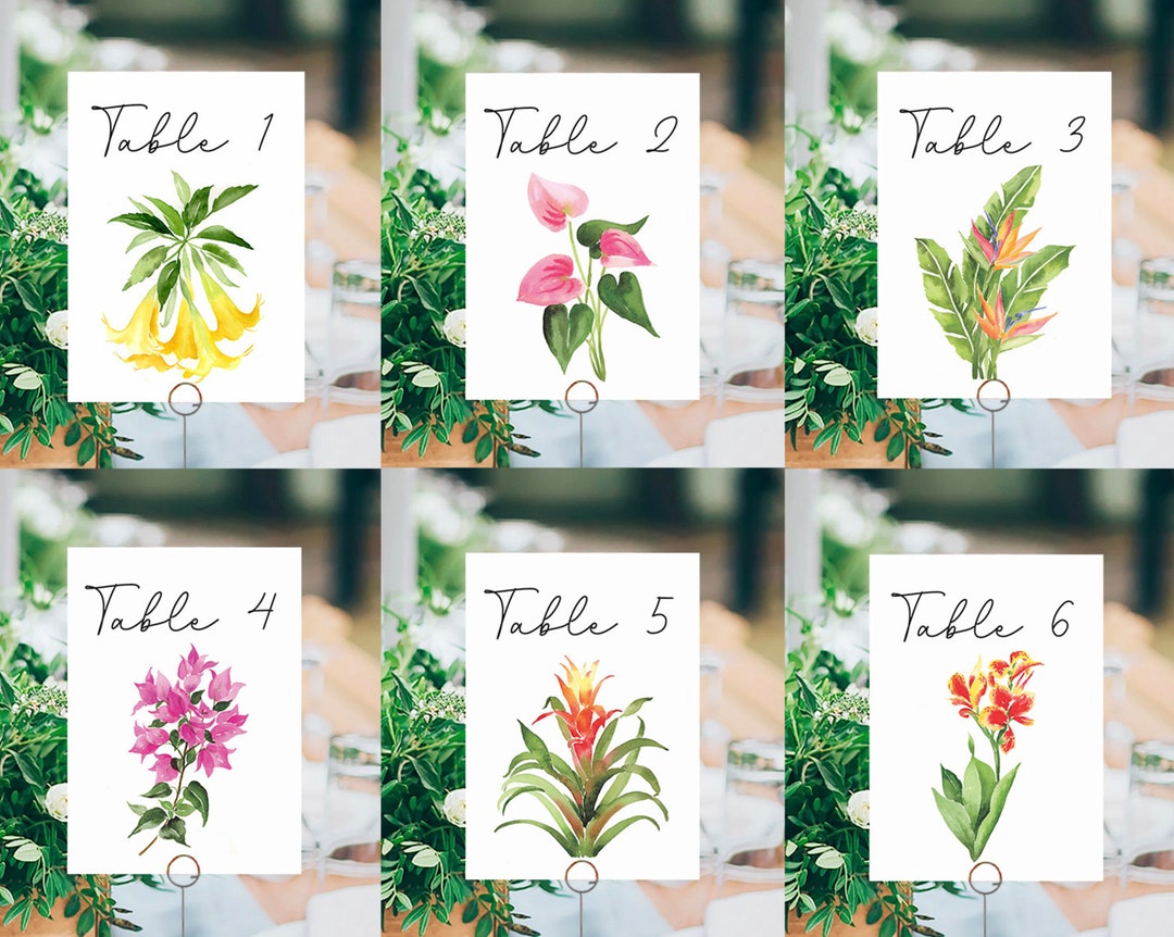 Tropical Table Numbers Wedding, Tropical Flower Table Cards, Beach ...