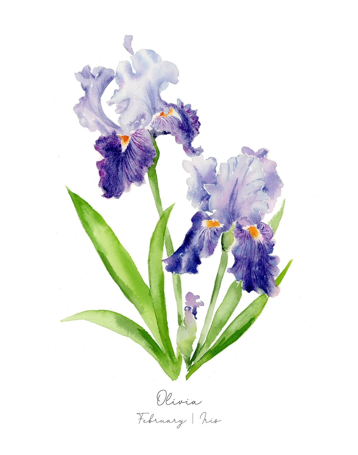 February Birth Flower Print Watercolor Iris Painting Iris - Etsy