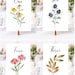 Watercolor Flower Table Numbers, Wildflower Table Numbers, Rustic ...
