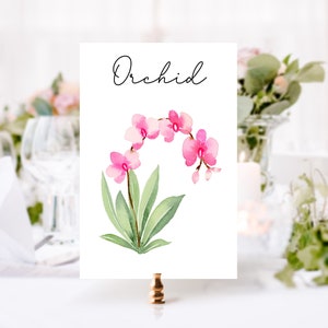 Tropical Table Numbers, Tropical Flower Table Cards, Bright Flower ...