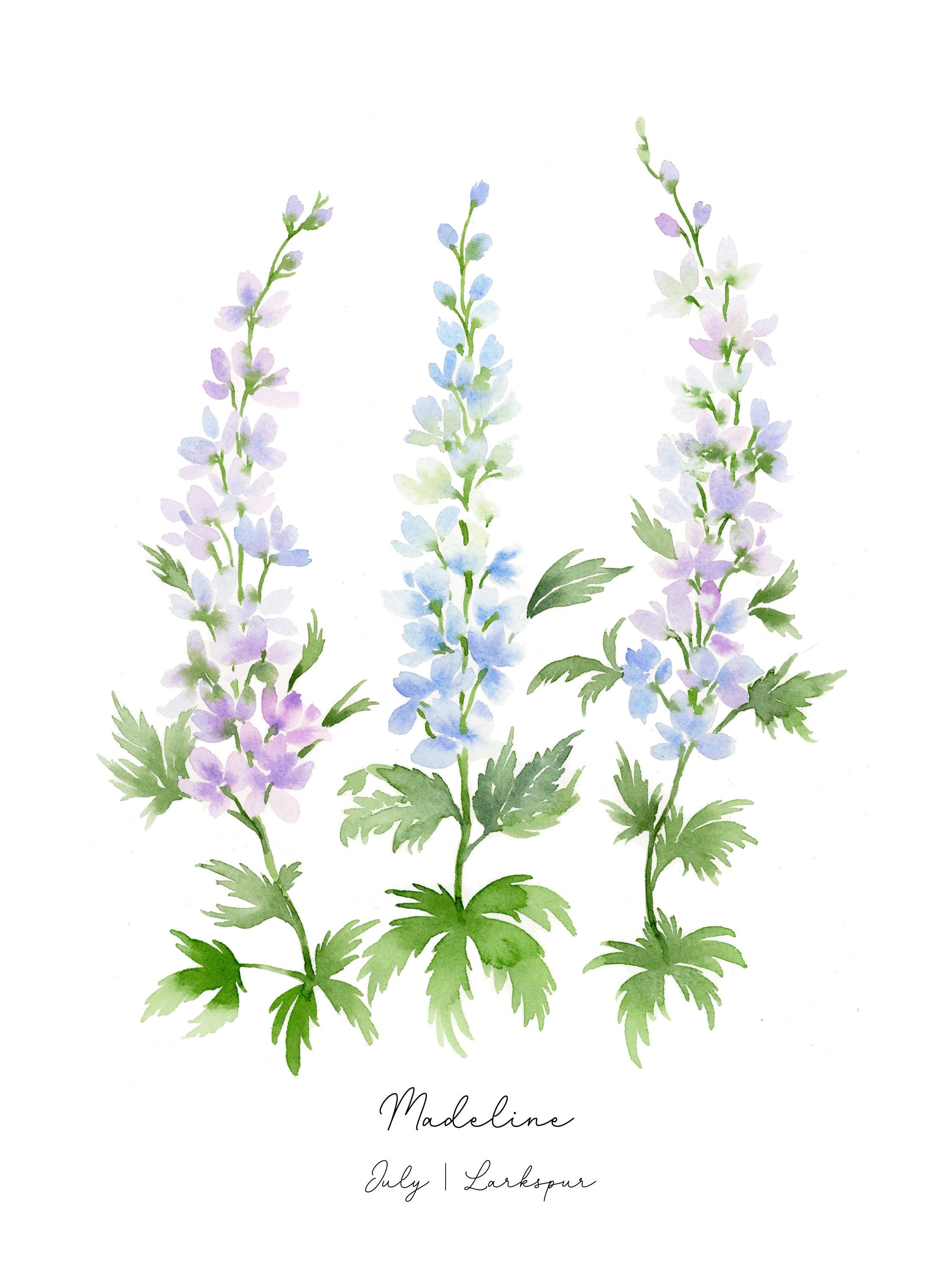 Personalized July Birth Flower Print Watercolor Larkspur - Etsy