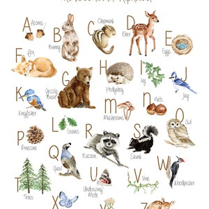 Woodland Alphabet Poster, Woodland Alphabet Print, Woodland Nursery ...
