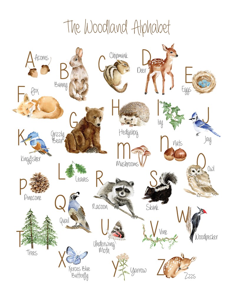 Woodland Alphabet Poster Woodland Alphabet Print Woodland - Etsy