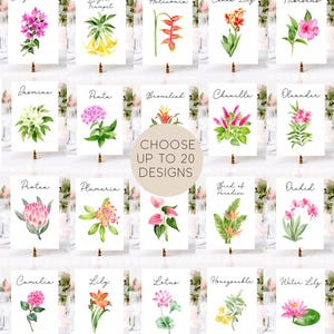 Tropical Table Numbers, Tropical Flower Table Cards, Bright Flower ...