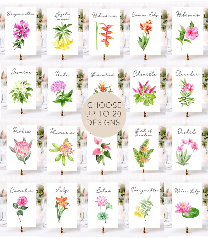 Tropical Table Numbers, Tropical Flower Table Cards, Bright Flower ...
