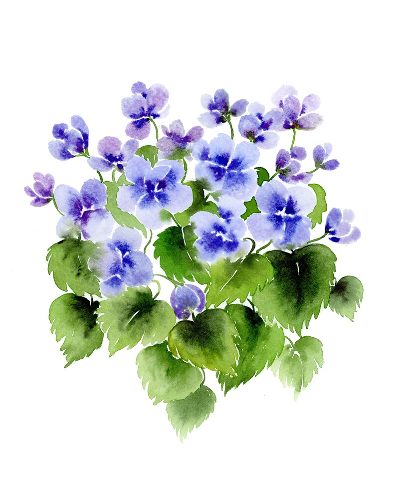 February Birth Flower Print Personalized February Birth - Etsy