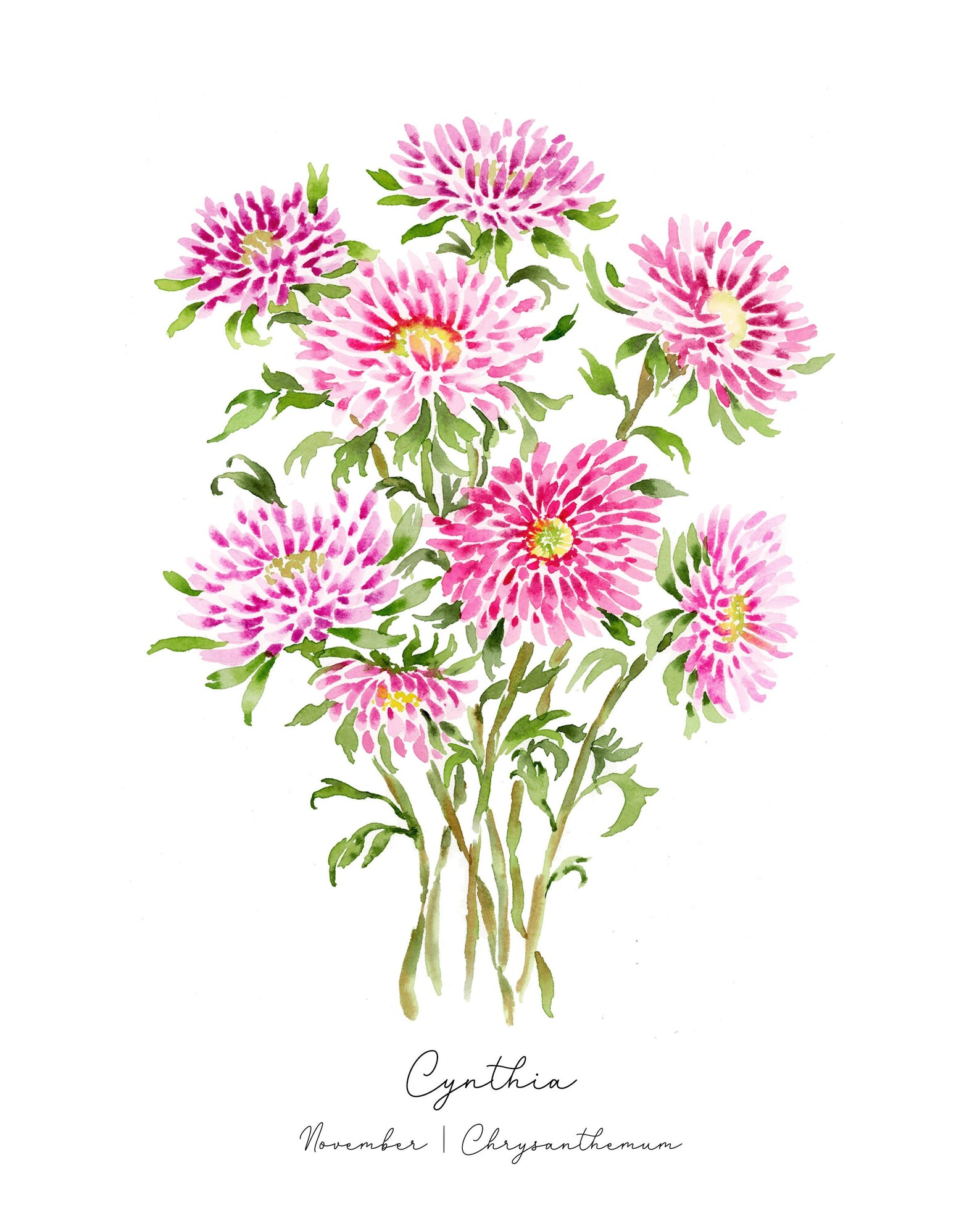 November Birth Flower Print, Chrysanthemum Print, Custom Birth Flower ...