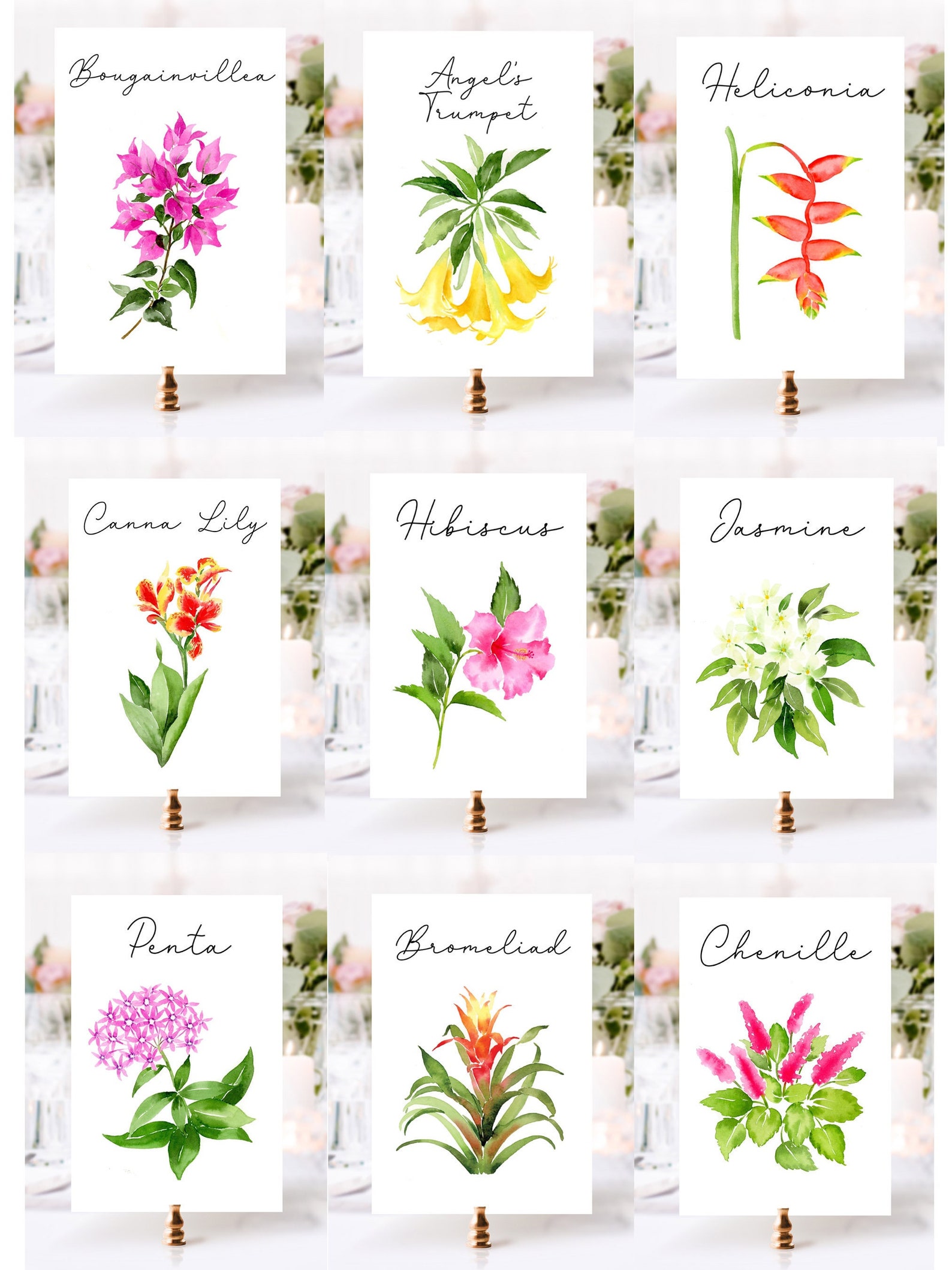 Tropical Table Numbers, Tropical Flower Table Cards, Bright Flower ...
